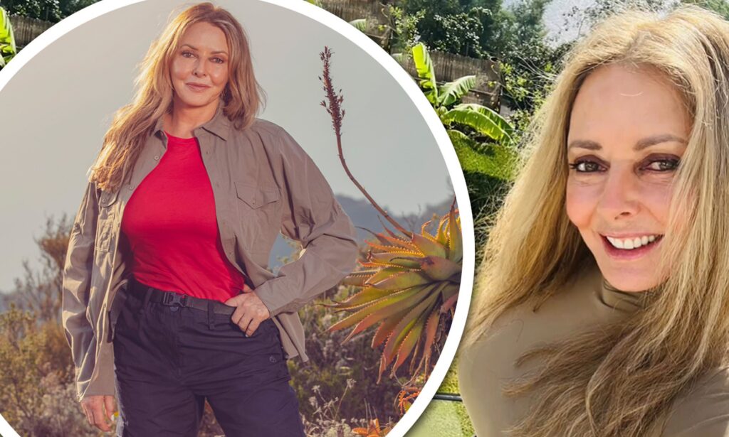 Carol Vorderman Flaunts Her Toned Abs In Skintight Gym Leggings And A