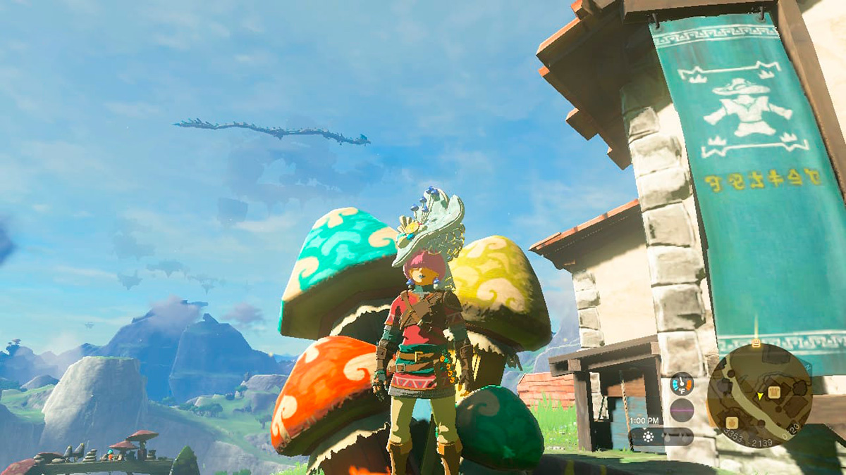 Zelda Tears Of The Kingdom Guide How To Get Cece Hat